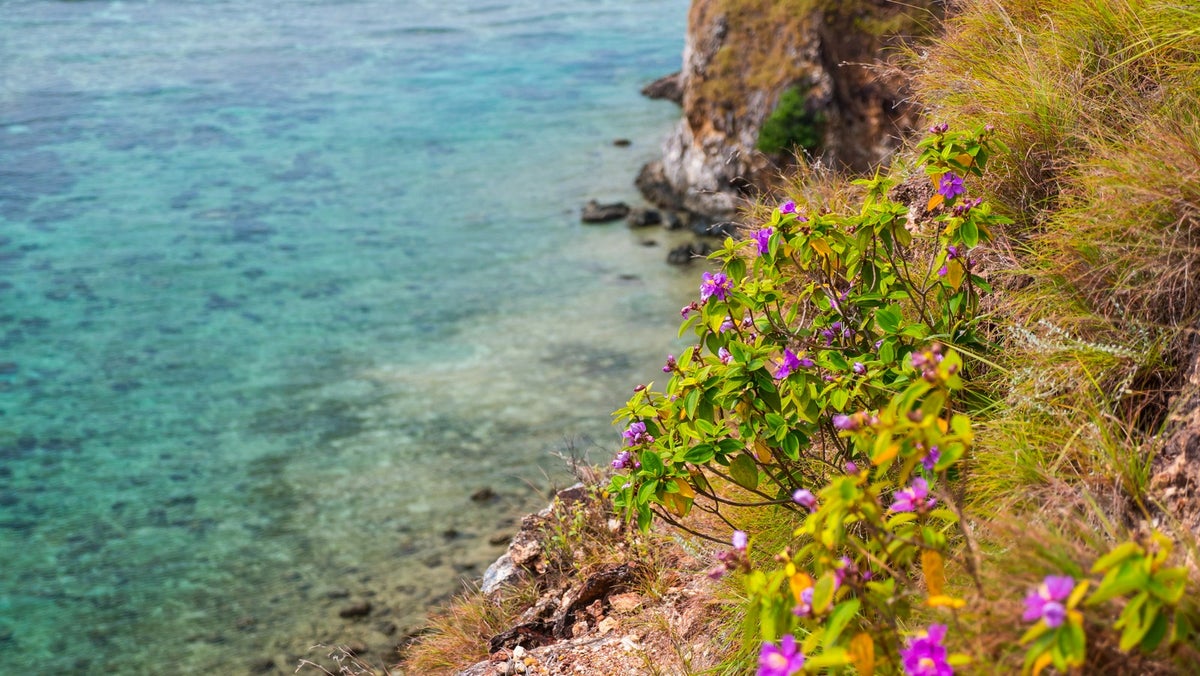 Information about Mararison Island | Guide to the Philippines