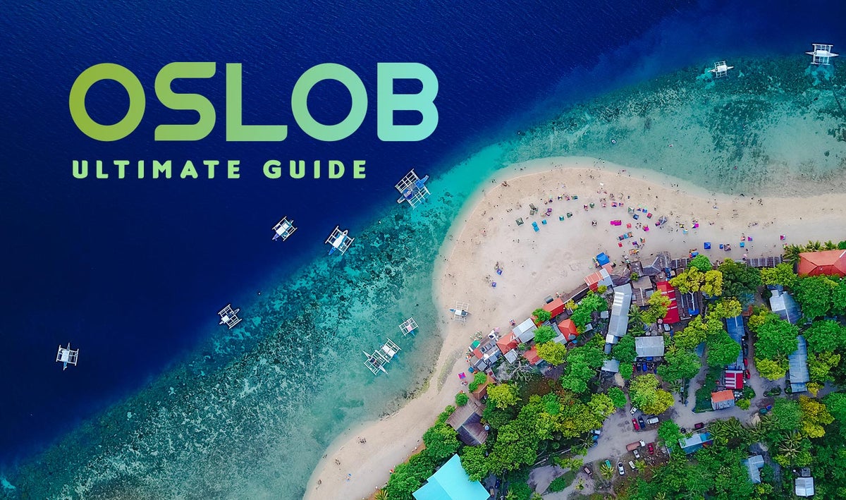 Ultimate Travel Guide to Oslob Town in Cebu Island | Guide to the ...