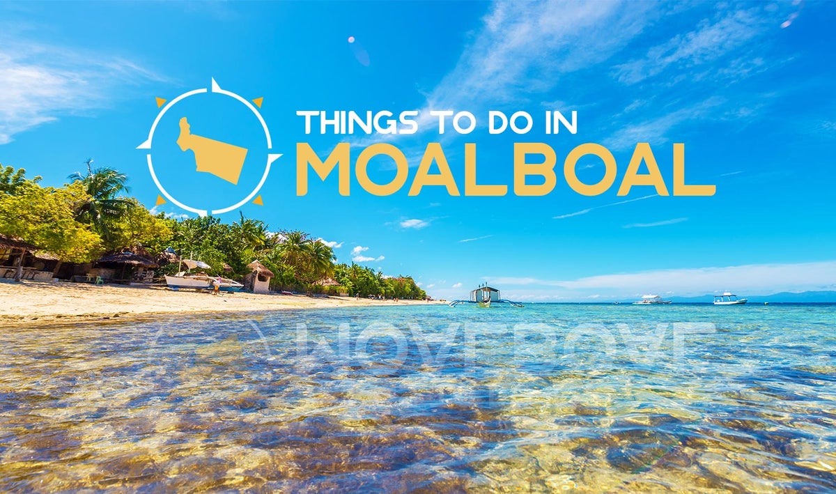 Top 12 Tourist Spots in Moalboal Cebu Famous for the Incredible Sardine ...