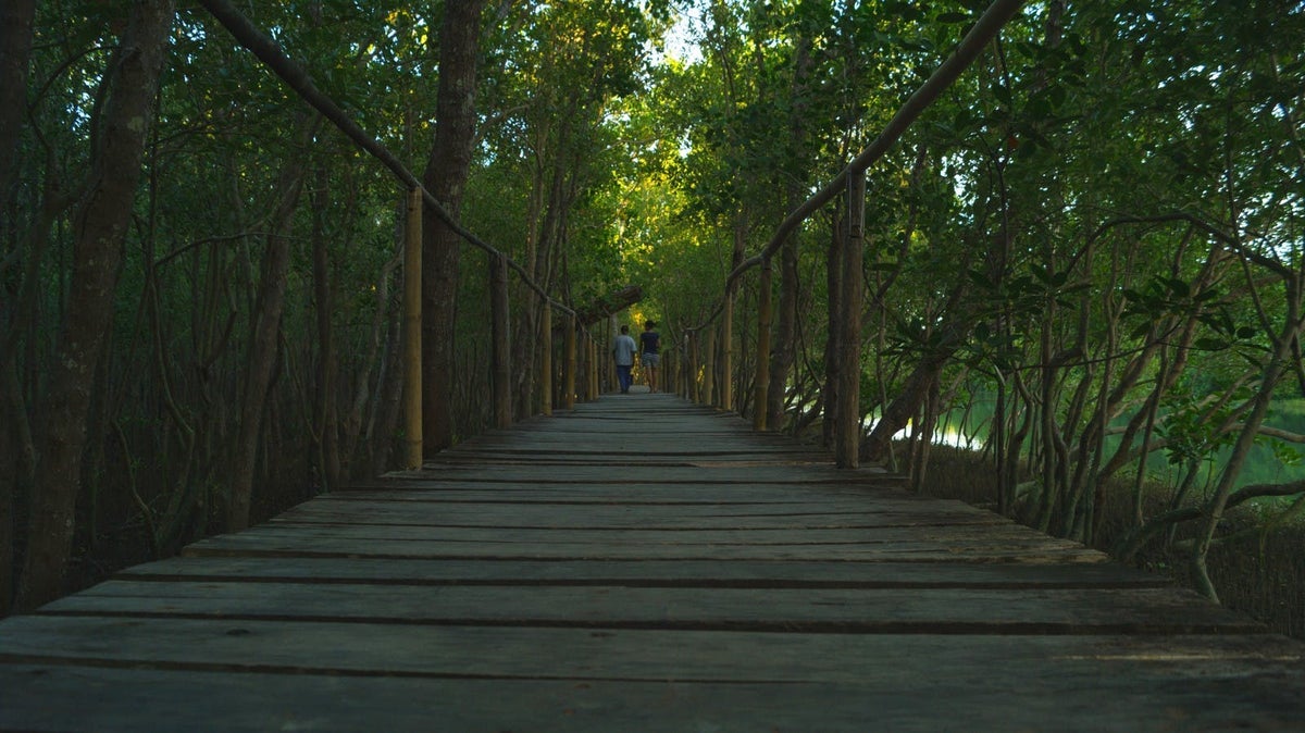 Aklan Nabas Wind Farm, Laserna Cold Spring & Basang Cave Tour with ...
