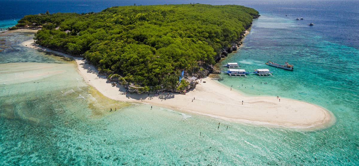 Ultimate Travel Guide to Oslob Town in Cebu Island | Guide to the ...