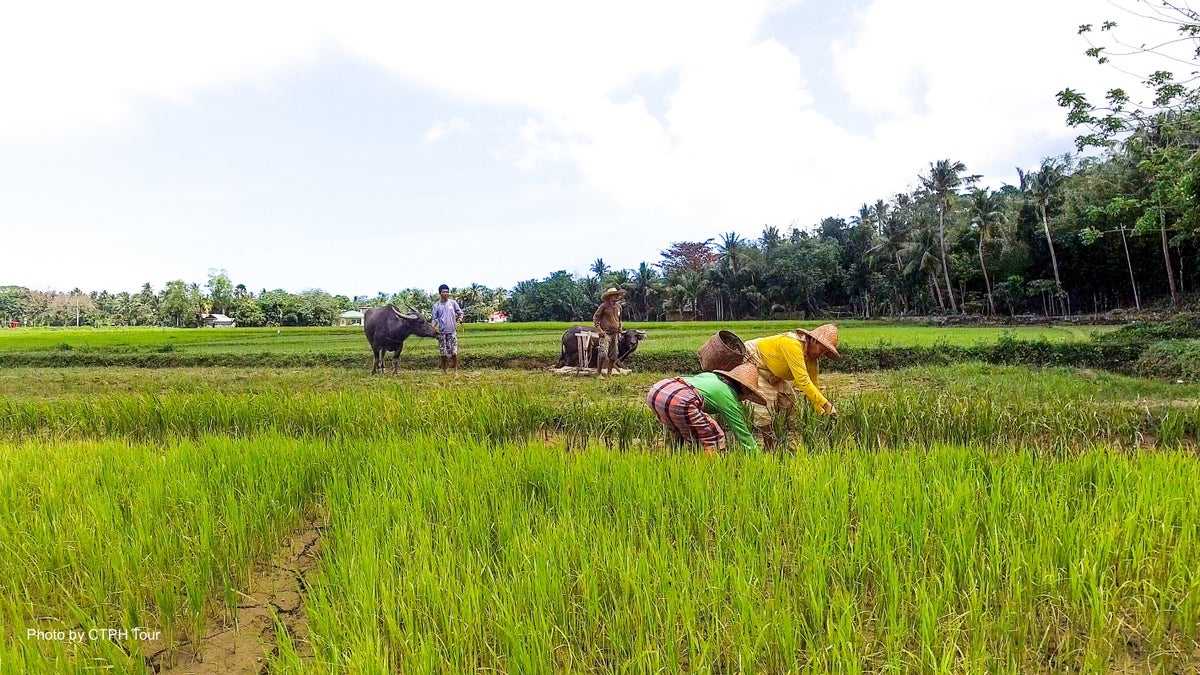 Information about Motag Living Museum | Guide to the Philippines