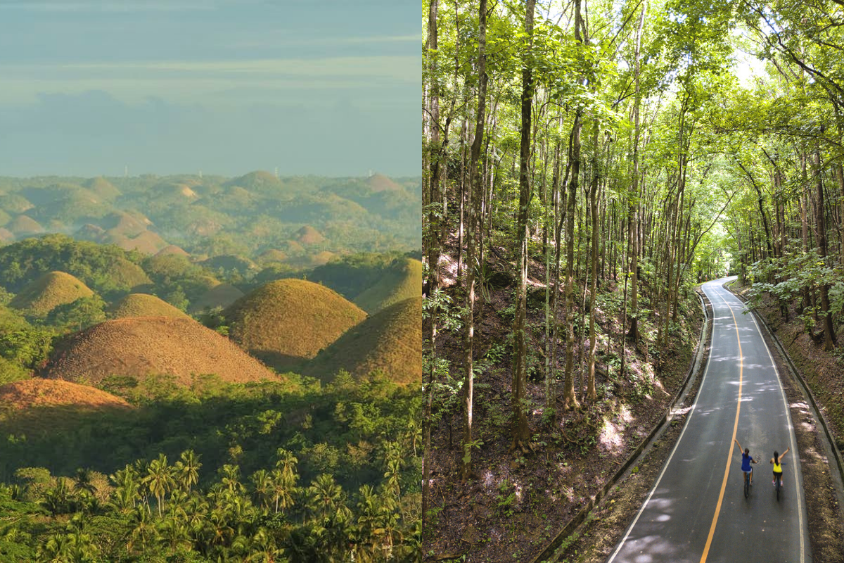 Bohol Countryside Tour Itinerary Guide: Everything You Need to Know ...