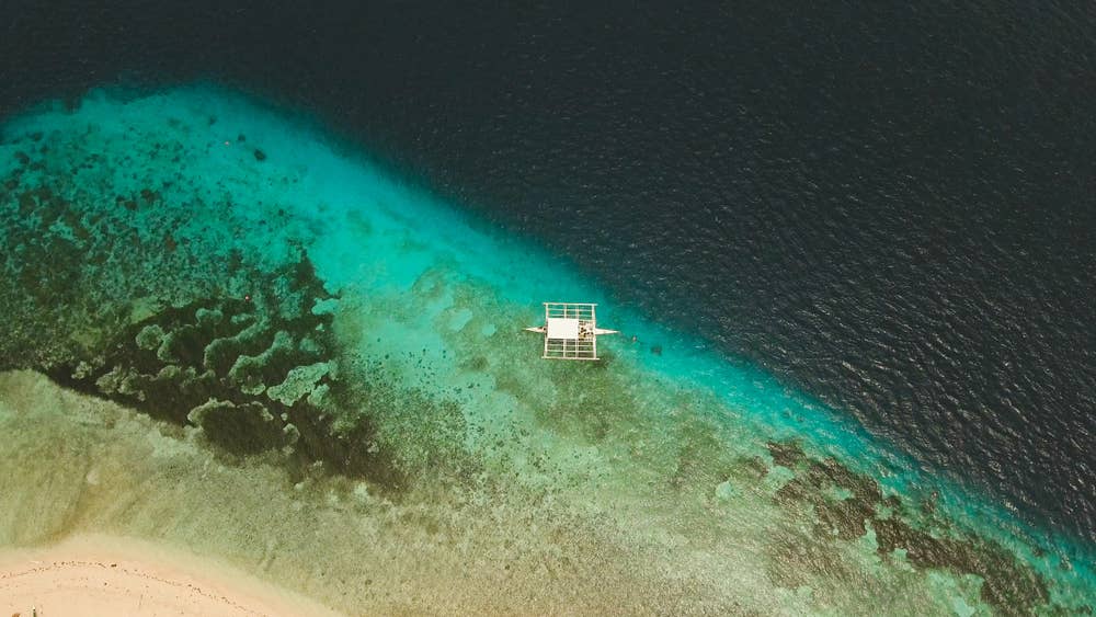 Private Dolphin and Turtle Watching Tour in Pamilacan Island in Bohol ...