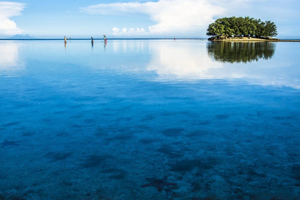 Private Dolphin and Turtle Watching Tour in Pamilacan Island in Bohol ...