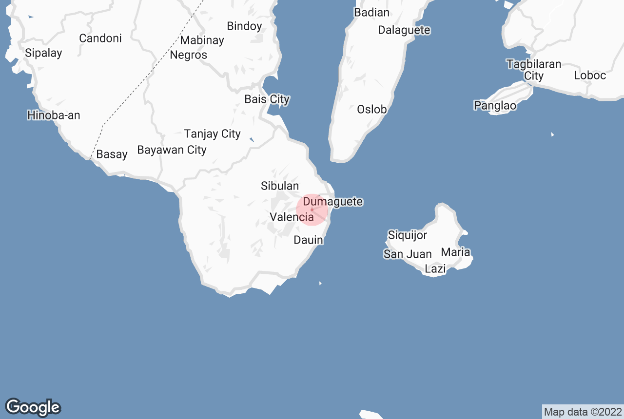 Information about Apo Island | Guide to the Philippines