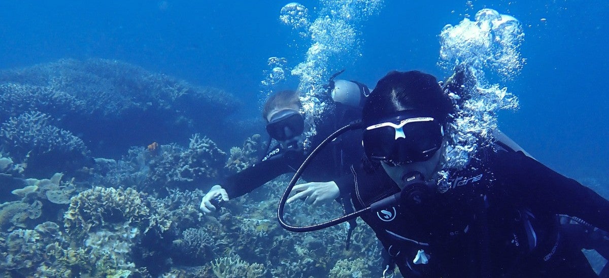Best Scuba Diving Packages in the Philippines | Guide to the Philippines