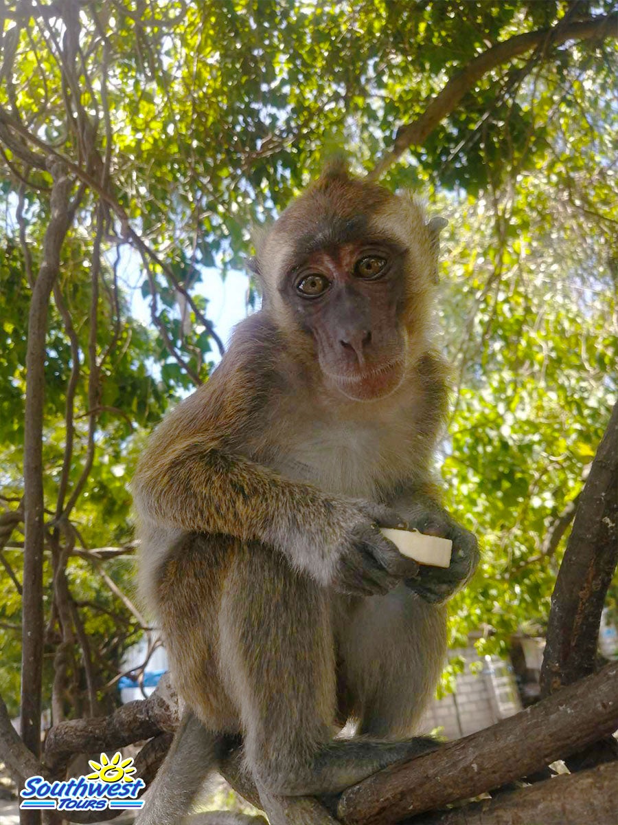 Top Zoos & Aquarium Tours in the Philippines | Guide to the Philippines