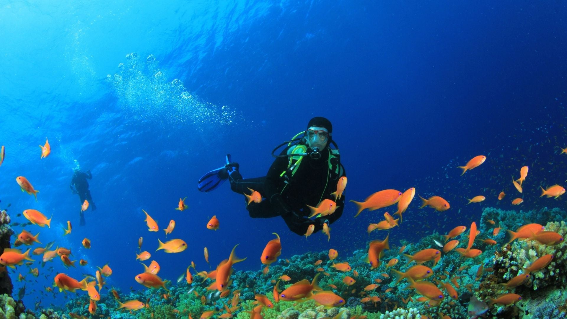Best Scuba Diving Packages in the Philippines | Guide to the Philippines