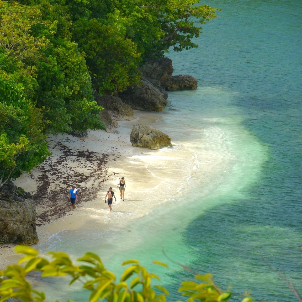 Information about Danjugan Island | Guide to the Philippines