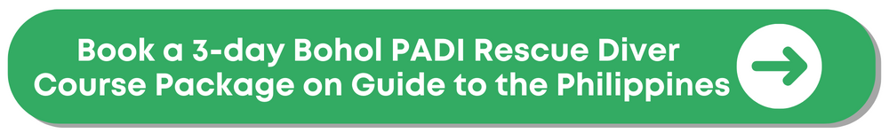 10 Best Bohol Packages to Book: Top Tours, Budget, Resorts, Diving ...