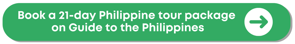 10 Best Bohol Packages to Book: Top Tours, Budget, Resorts, Diving ...