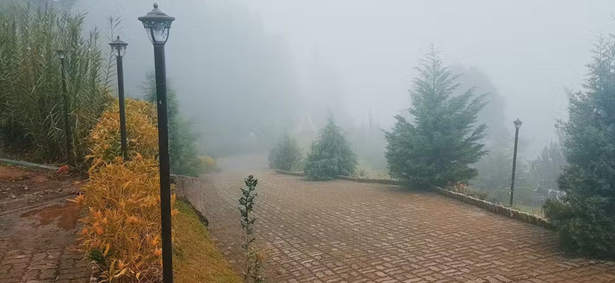 Bukidnon Dahilayan Forest Park Package Tour from Cagayan De Oro with ...