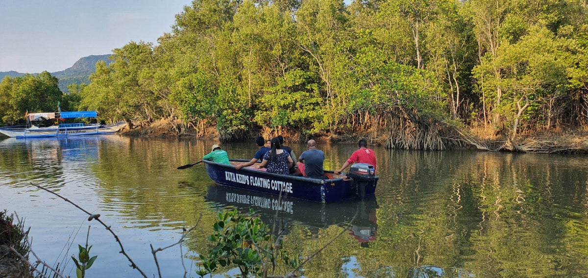 Papaya Island Cove Batangas Day Tour with Lunch & Transfers | Mangrove ...