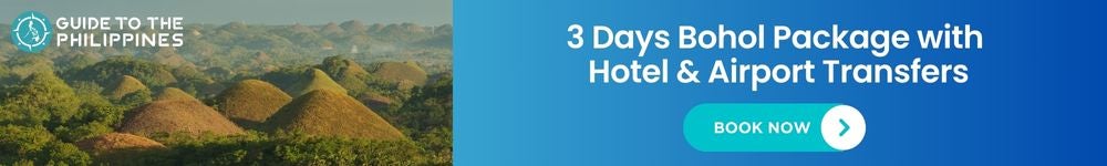 Travel Guide to Bohol: Itinerary + What to Do + Hotels | Guide to the ...