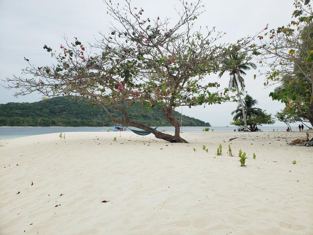 Linapacan, Sibaltan & Taytay Palawan Island Hopping Tour with Meals ...
