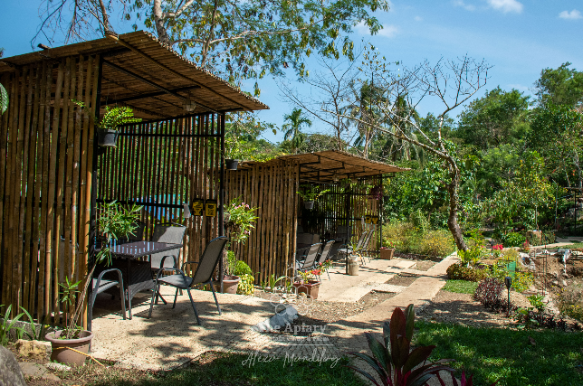 Rizal Treasure Mountain Day Pass with Breakfast, Obstacle Course ...