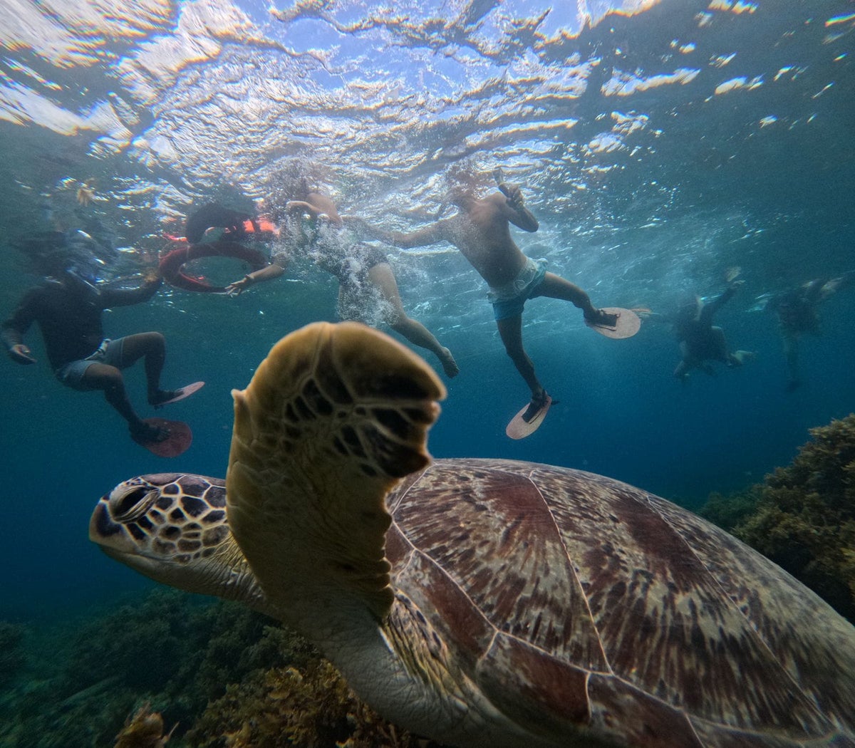Port Barton San Vicente Island Hopping Tour from Puerto Princesa | Twin ...