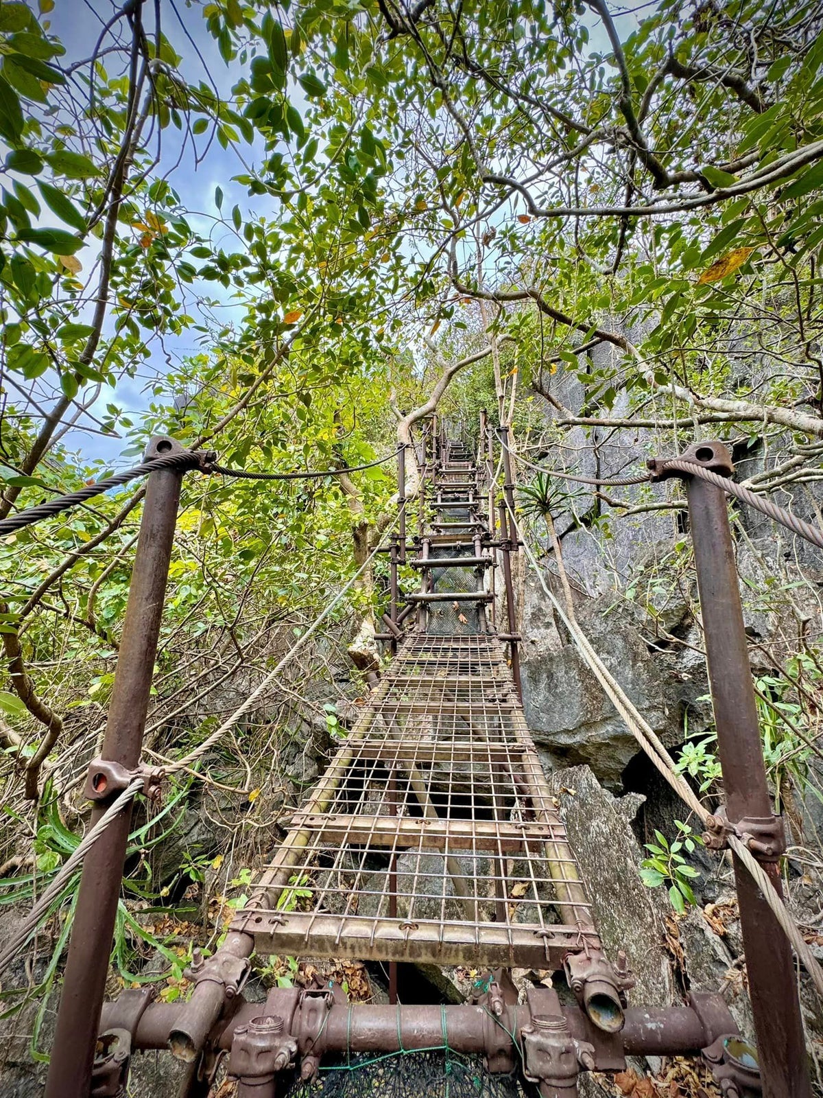 Canopy Walk at Taraw Cliff in El Nido Town on Palawan Island | Guide to ...