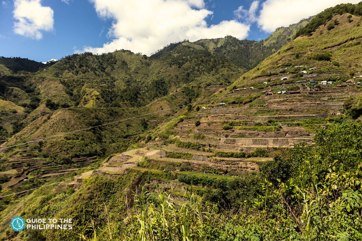 Travel Guide to Buscalan Tattoo Village in Kalinga: Home to Apo Whang ...