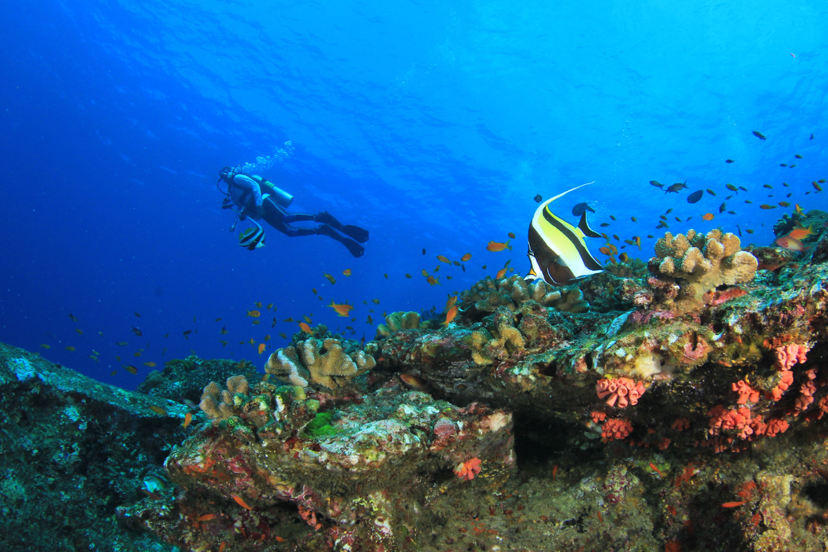 Freediving Lesson in Boracay Island with Gear, Instructor, Photos ...