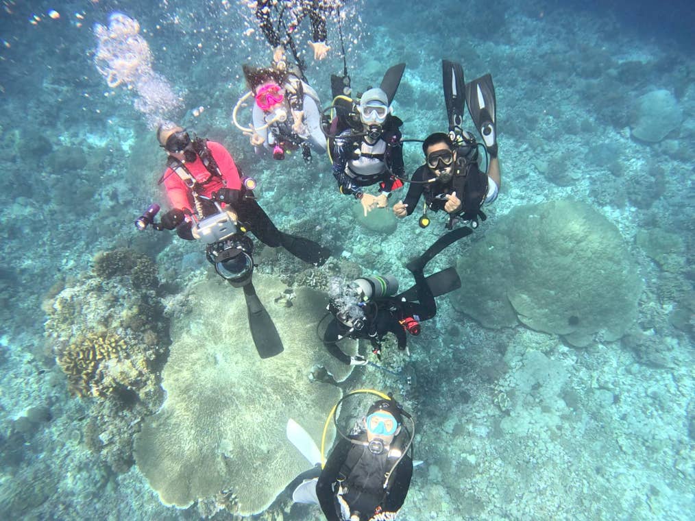 Cebu Bantayan Island 3-Hour Discover Scuba Diving with Divemaster ...
