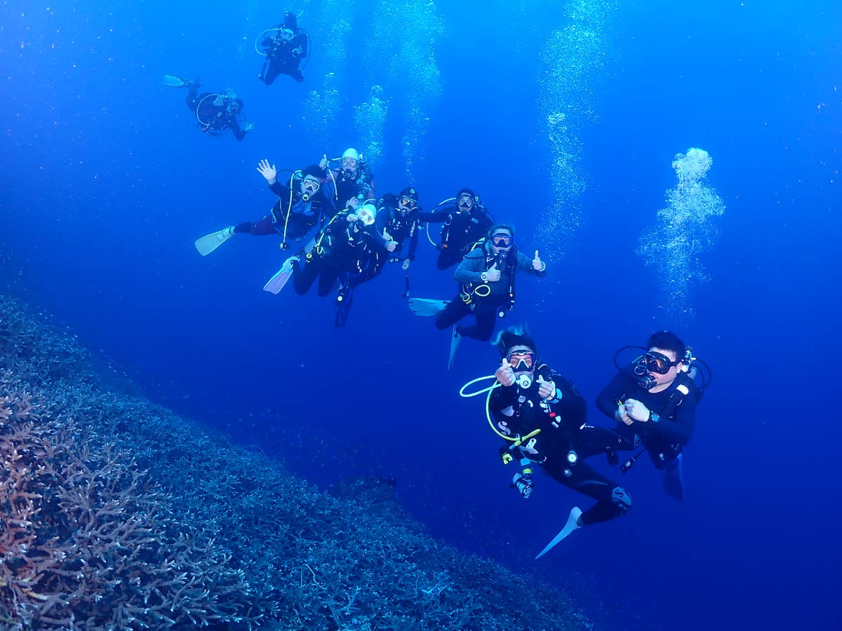 Cebu Bantayan Island 3-Hour Discover Scuba Diving with Divemaster ...