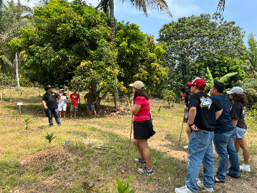 Coffee Farm Tour at Amadeo Cavite Near Manila & Tagaytay with Live ...