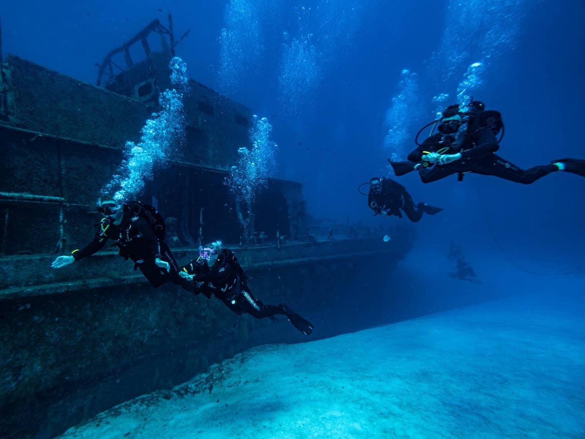 Cebu Bantayan Island 2-Hour Fun Dive with Divemaster Assistance, Gear ...