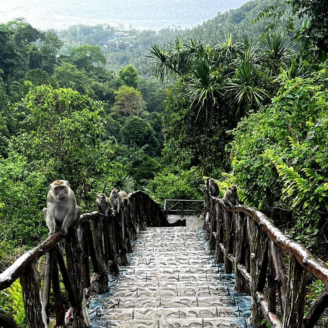 Epic 7-Day Mindanao Region Cultural & Island Hopping Tour Package ...