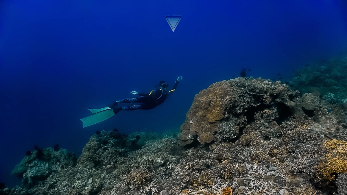 Amazing 2-Day Batangas Freediving Open Water Course Package with ...