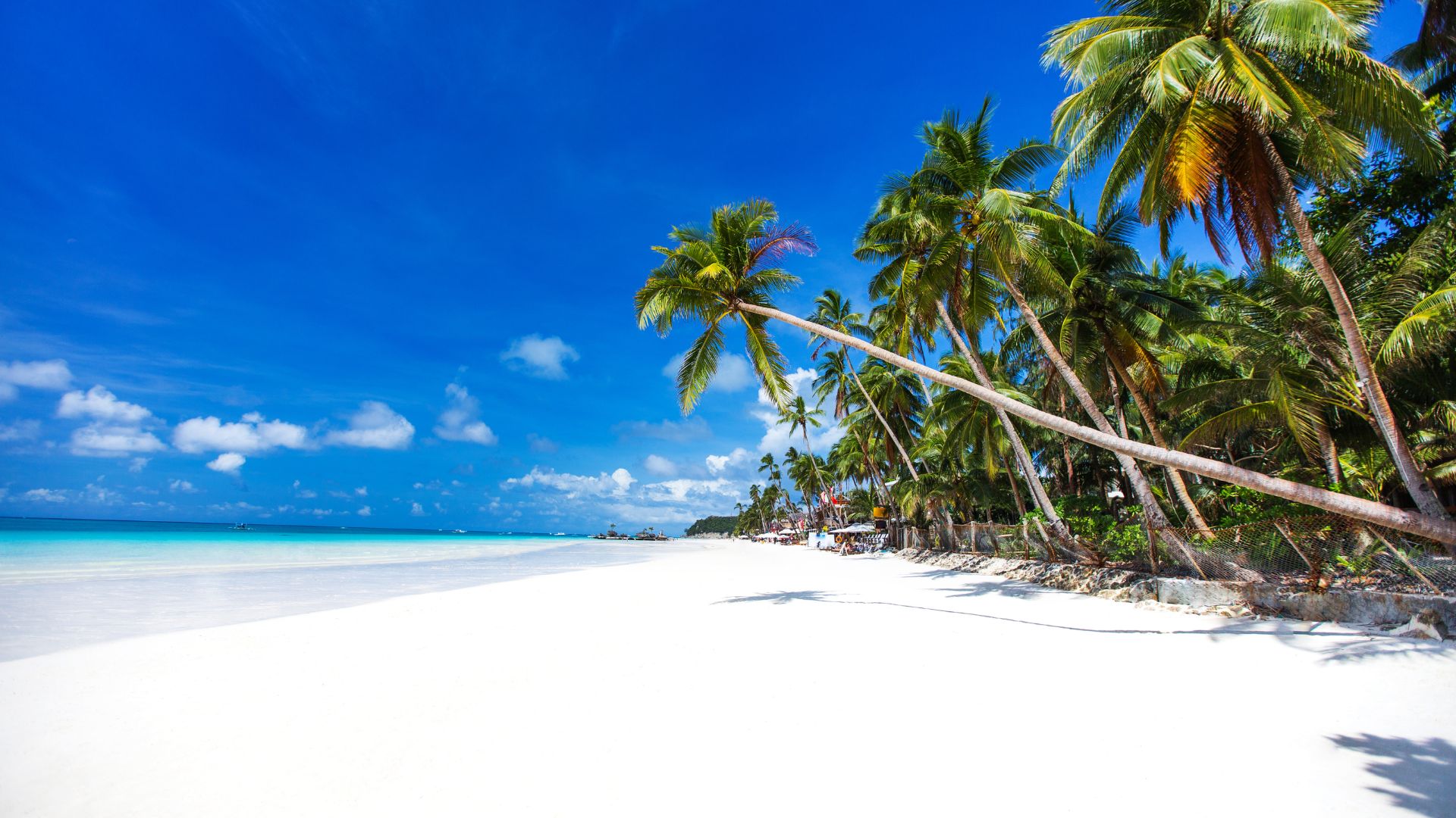 Best Island Hopping Tours in the Philippines | Guide to the Philippines