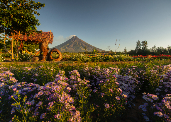 Top Albay Province Vacation Packages | Guide to the Philippines