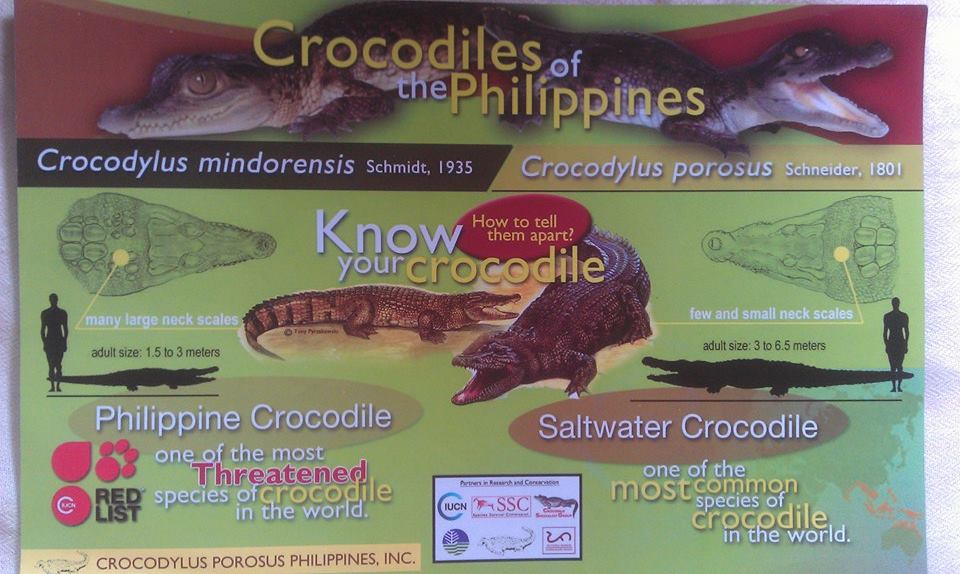 Information about Paghungawan Marsh | Guide to the Philippines