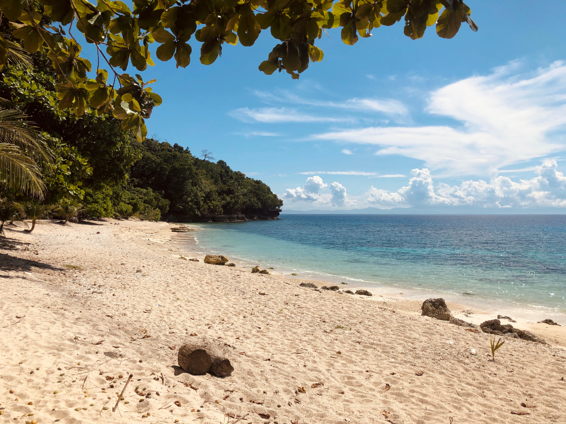 Tour to Samal Island’s Best Beaches and Nature Spots in Davao del Norte ...