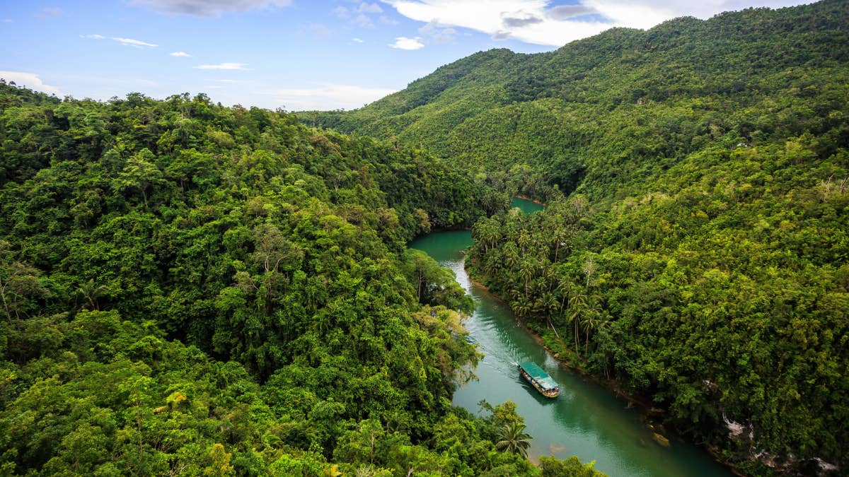 Private Tour to Bohol Island's Chocolate Hills & Tarsier Sanctuary with ...