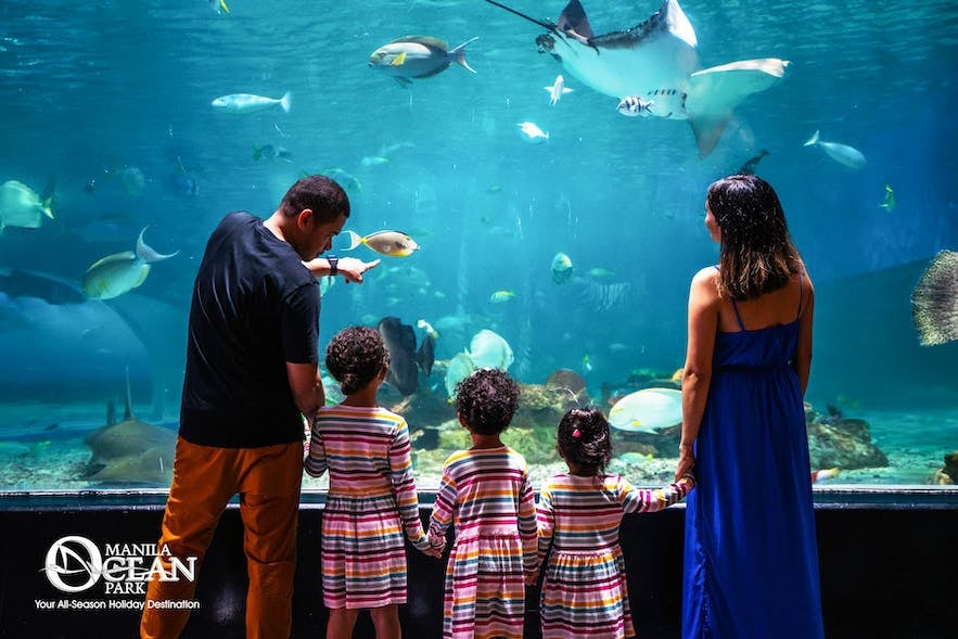 Information about Manila Ocean Park | Guide to the Philippines