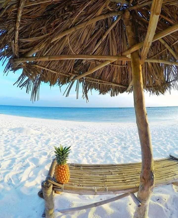 Information about Paradise Beach, Cebu | Guide to the Philippines