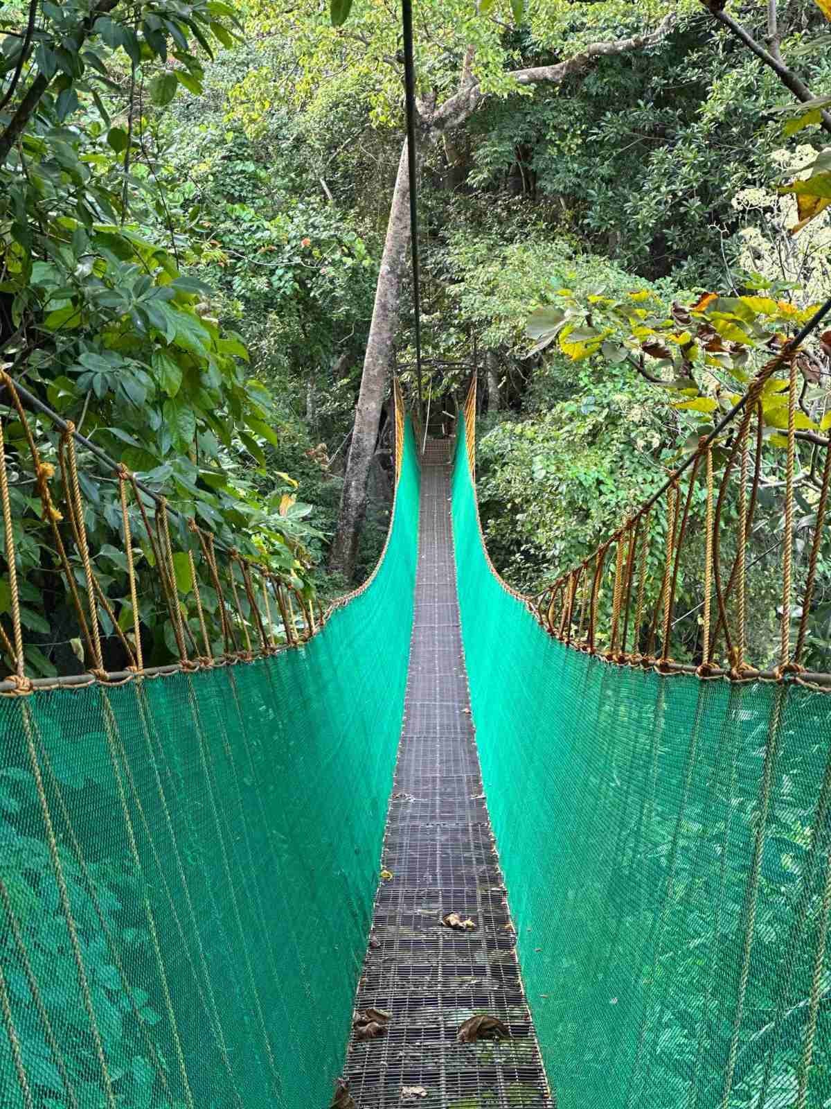 Canopy Walk at Taraw Cliff in El Nido Town on Palawan Island | Guide to ...