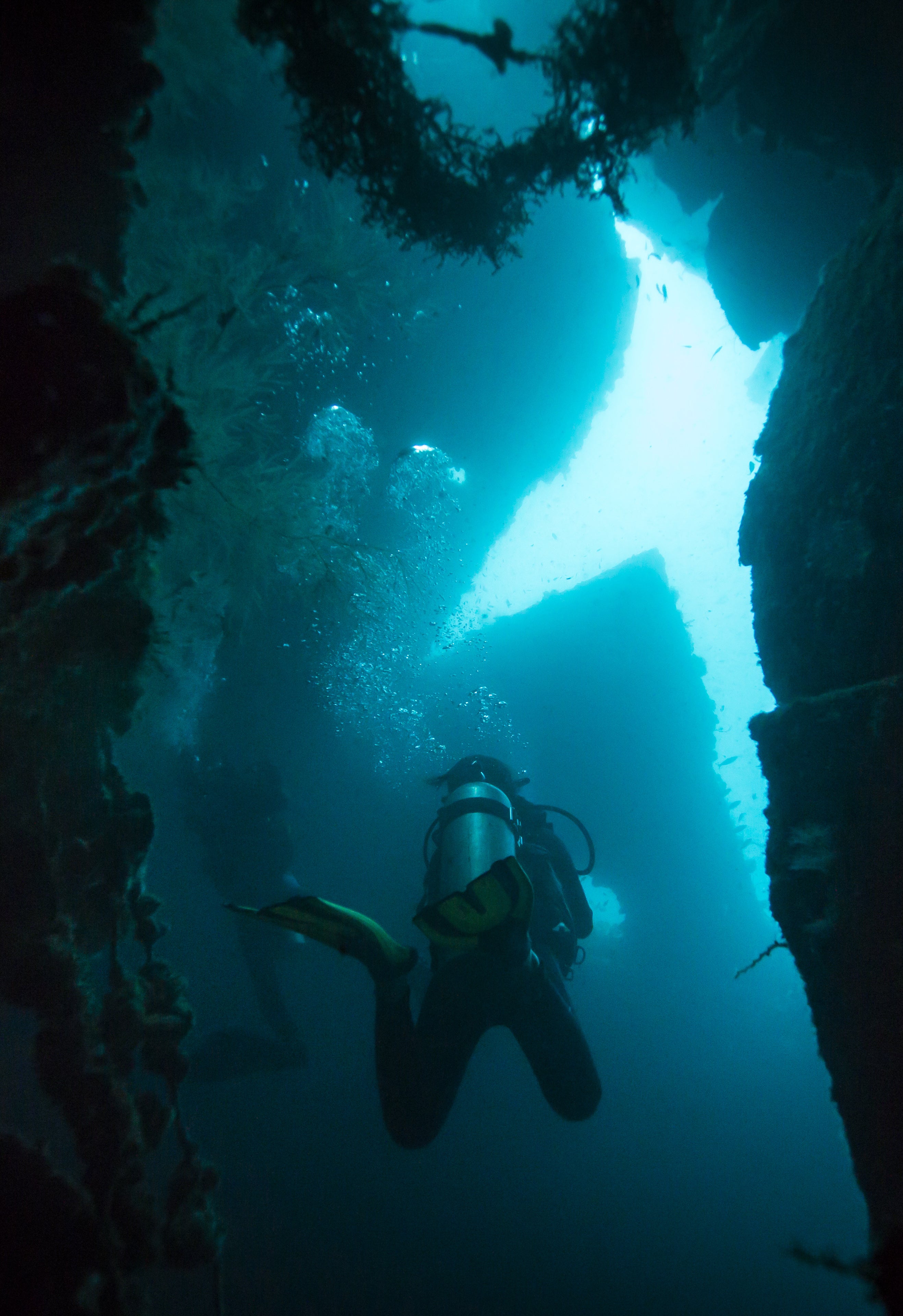 Discover Scuba Diving Tour in Coron Town on Palawan Island with Guide ...