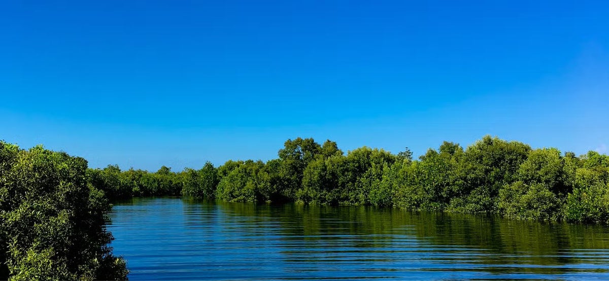 Information about Donsol River | Guide to the Philippines