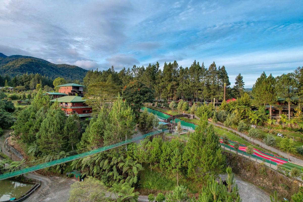 Private Tour to Dahilayan Forest Park & Nature Spots in Bukidnon ...