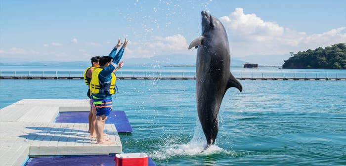 Information about Ocean Adventure | Guide to the Philippines